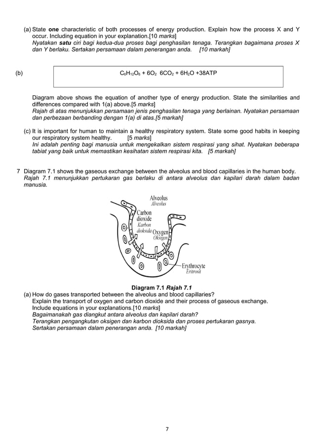 It bio f4 final year examination (bl) | PDF
