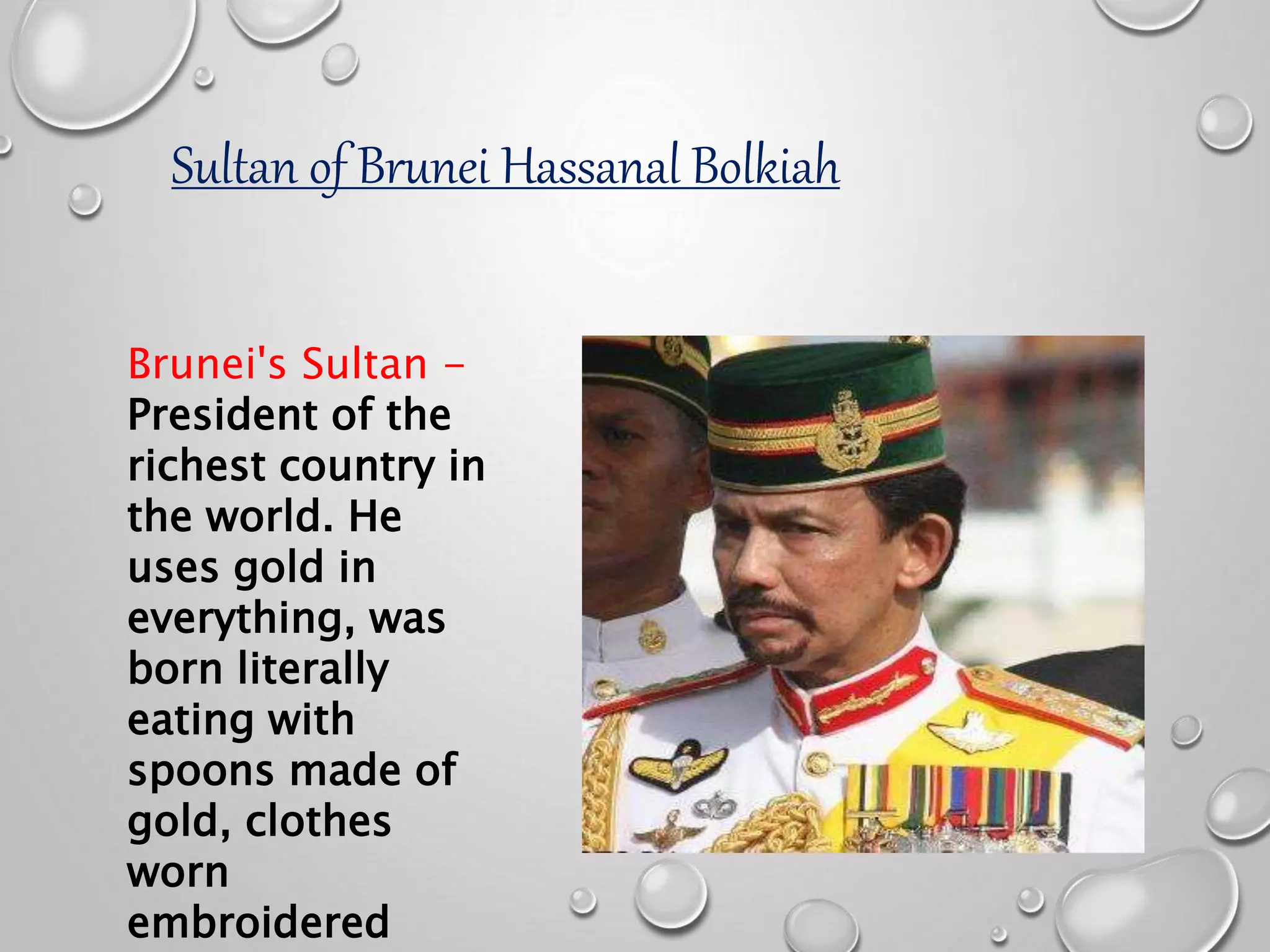 Sultan of Brunei Hassanal Balkiah | PPTX