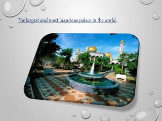 Sultan of Brunei Hassanal Balkiah | PPTX