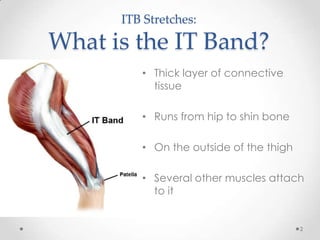 ITB Stretches | PPTX