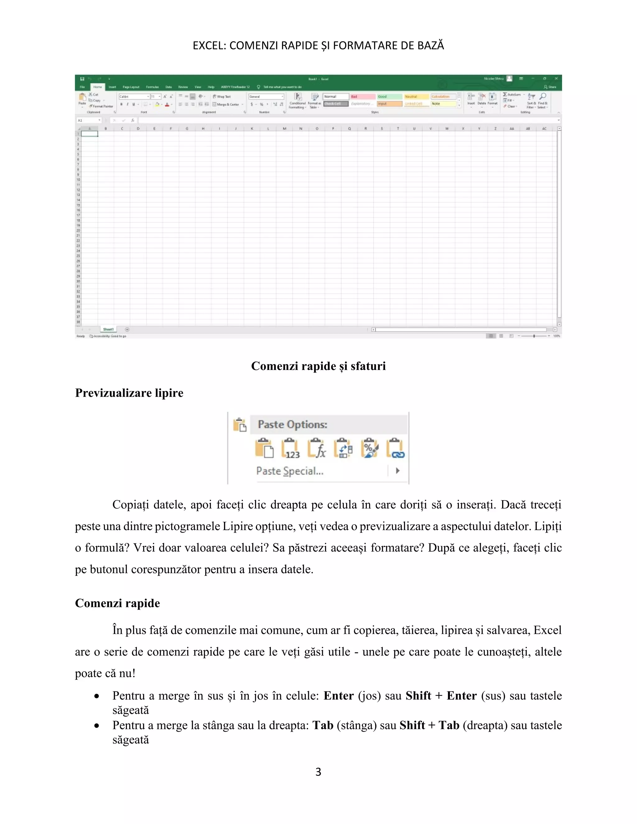 Excel: Comenzi rapide și formatare de bază | PDF