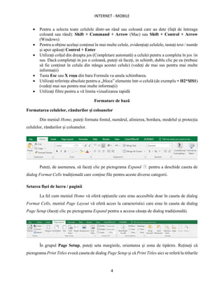 Excel: Comenzi rapide și formatare de bază | PDF