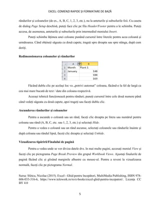 Excel: Comenzi rapide și formatare de bază | PDF