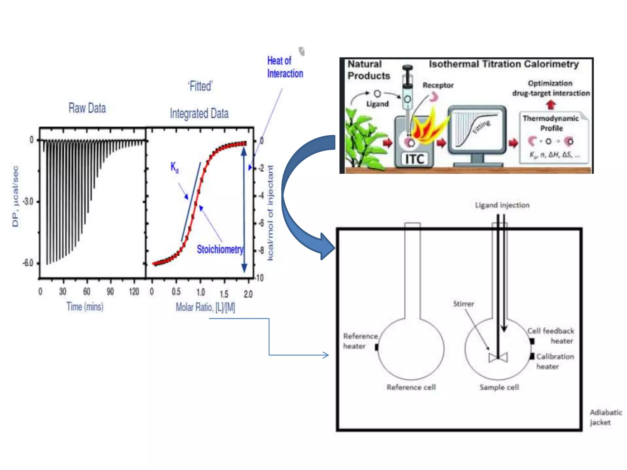 ITC (isothermal titration calorimetry) | PPTX | Chemistry | Science