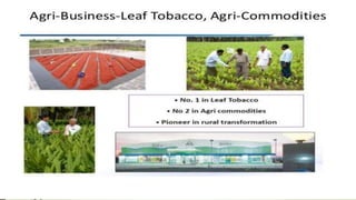 ITC Ltd HISTORY | PPT