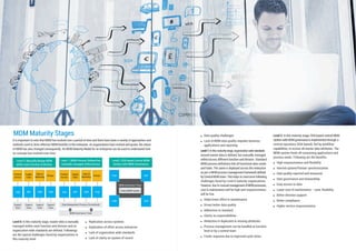 Mastering Master Data Management | PDF