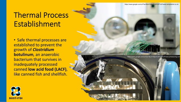 ITDI Thermal Processing of Fish 03-26-2021.pdf | Cooking | Food & Drink