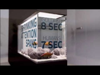 ItDM Lecture 1 | PPT