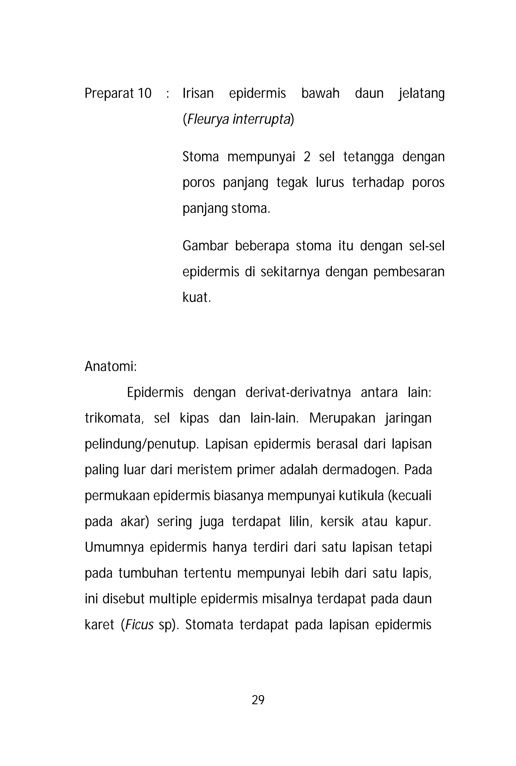 PENUNTUN PRAKTIKUM BOTANI-PENUNTUN PRAKTIKUM BOTANI.pdf