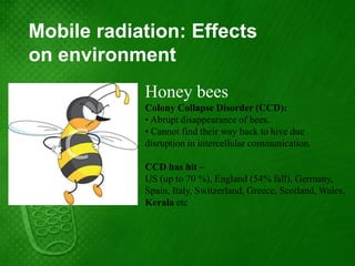 Impact of IT on environment | PPTX