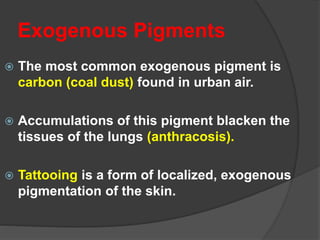 intracellular accumulations, calcifications and cellular ageing. | PPTX