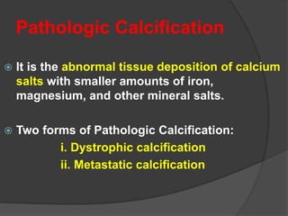 intracellular accumulations, calcifications and cellular ageing. | PPTX