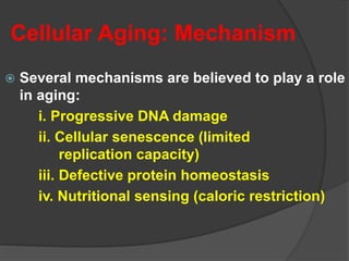 intracellular accumulations, calcifications and cellular ageing. | PPTX
