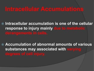 intracellular accumulations, calcifications and cellular ageing. | PPTX