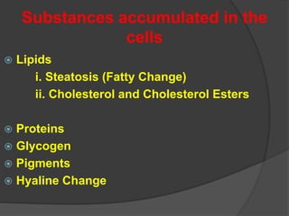 intracellular accumulations, calcifications and cellular ageing. | PPTX