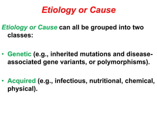 introduction to pathology, tissue processing. Histopathology and ...