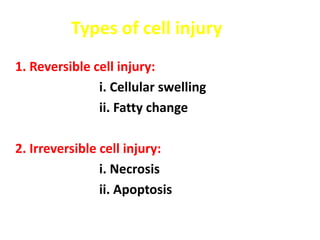 Growth disturbances, Cellular adaptation and reversible cell injury | PPTX