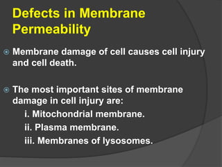irreversible cell injury, necrosis, apoptosis, free radicles ...