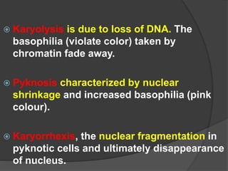 irreversible cell injury, necrosis, apoptosis, free radicles ...