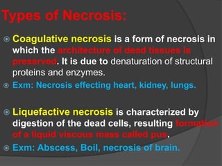 irreversible cell injury, necrosis, apoptosis, free radicles ...
