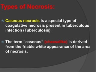 irreversible cell injury, necrosis, apoptosis, free radicles ...
