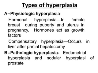 Item 02- CellUlar adaptations pathology topic.pdf