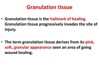 healing and tissue repair | PPTX