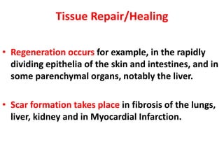 healing and tissue repair | PPTX