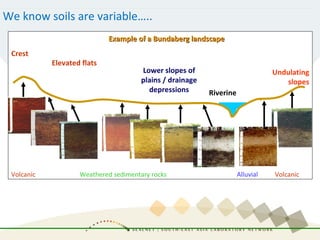 Key soil fertility analyses | PPT