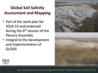 Item 12: Preparation of global maps of soil salinity, soil erosion, and GLOSIS - Yusuf Yigin ...