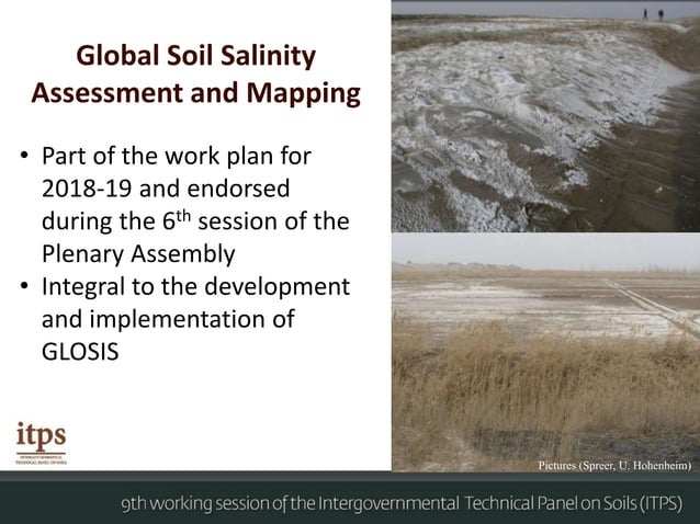 Item 12: Preparation of global maps of soil salinity, soil erosion, and ...