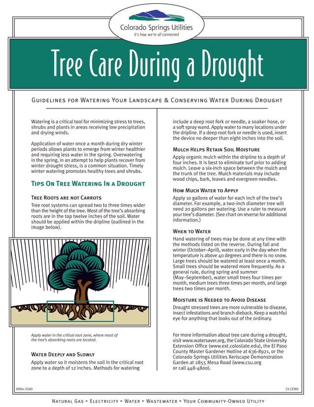 Tree Care During a Drought Fact Sheet - Colorado Springs | PDF