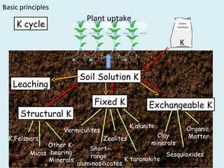 Soil Potassium | PPT