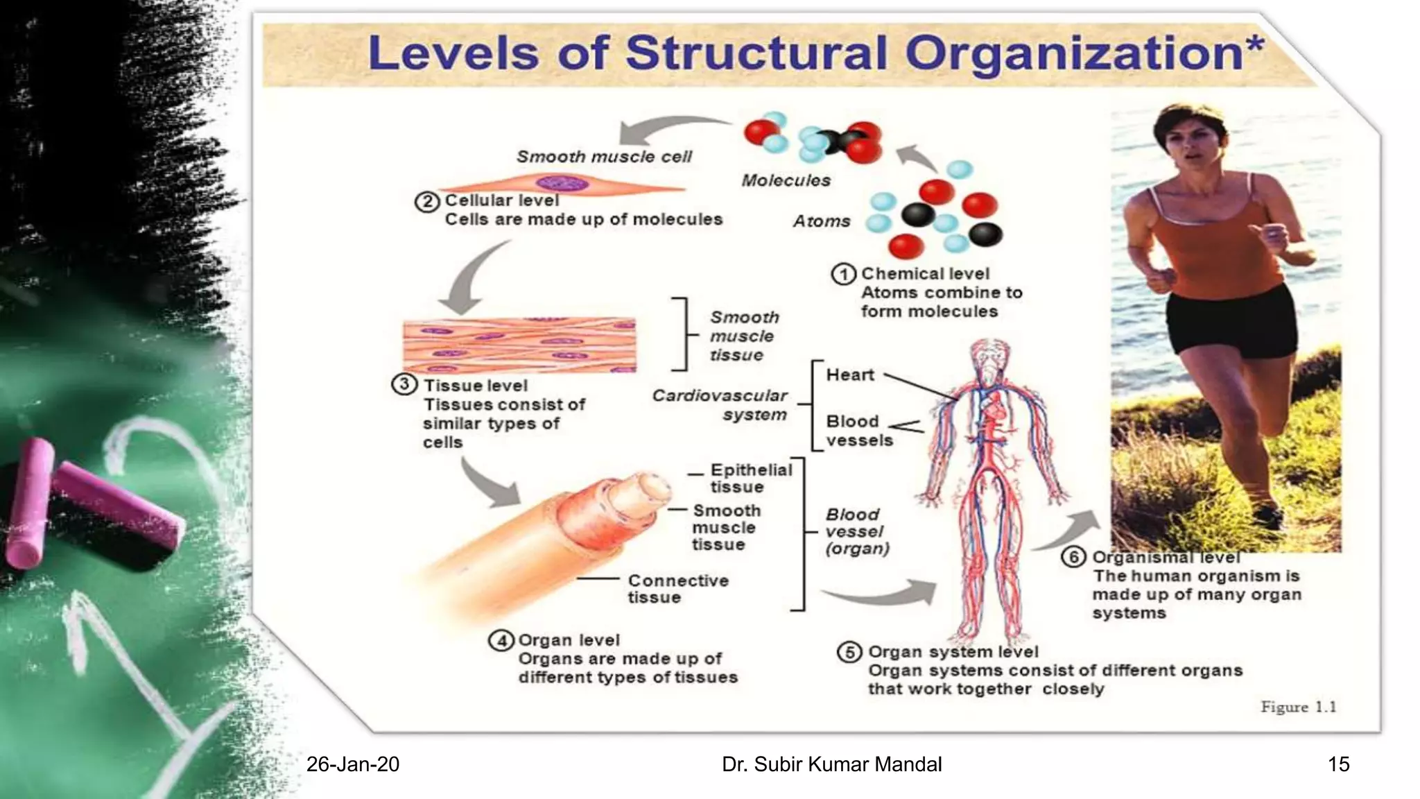 Introduction to Medical Biochemistry | PPTX