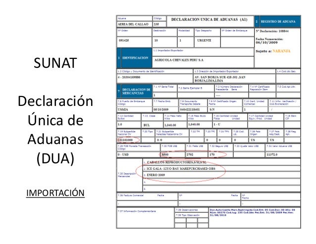 Importacion Y Exportacion