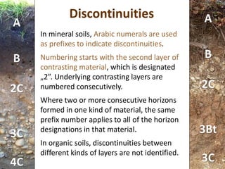 Before classification: profile description | PDF | Chemistry | Science
