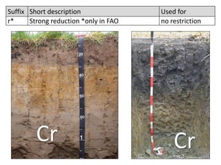 Before classification: profile description | PDF | Chemistry | Science