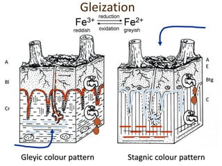 Before classification: profile description | PDF | Chemistry | Science