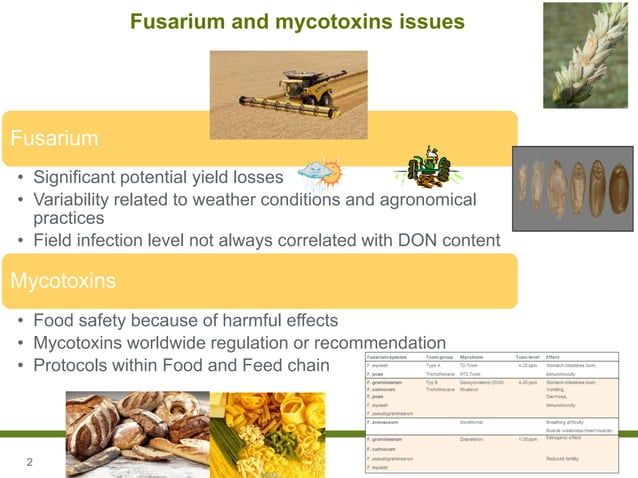 Qualimetre: A forecasting tool for mycotoxins for wheat and corn - OECD ...