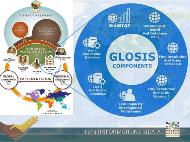 Report on the preparation of the Global Soil Organic Carbon Map ...