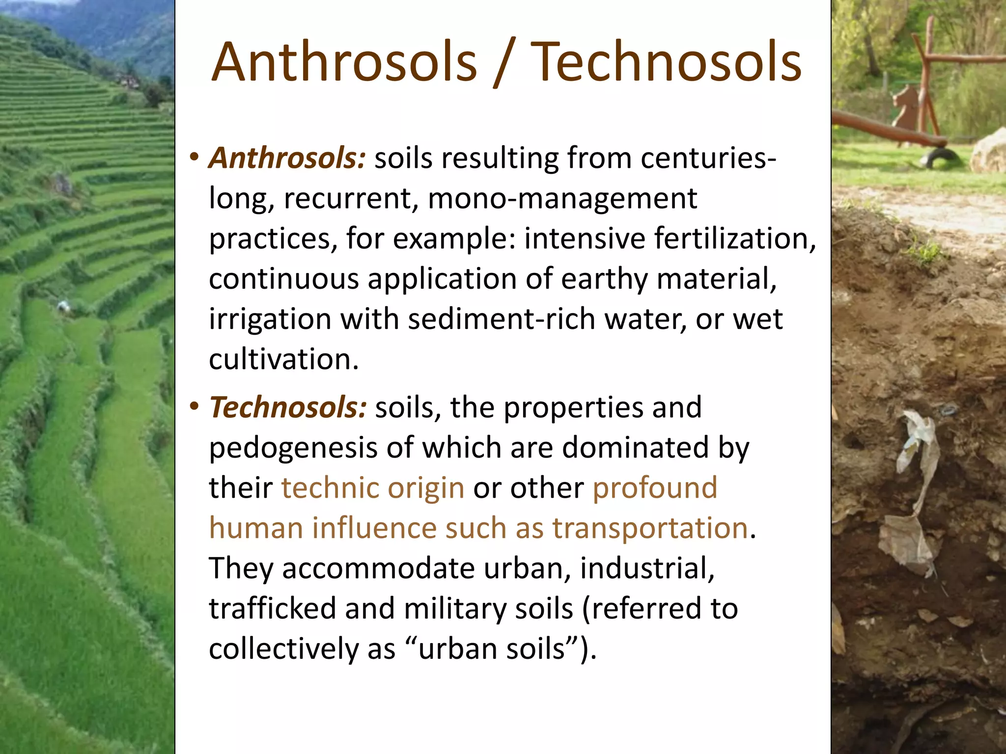 Item 4: Anthrosols/Technosols | PDF