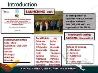 Report on the CENTRAL AMERICA, MEXICO AND THE CARIBBEAN Soil ...