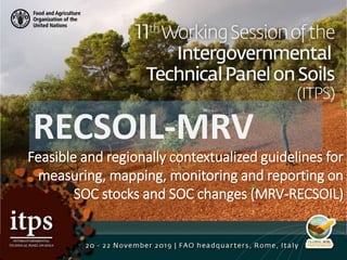 RECSOIL MRV | PPT