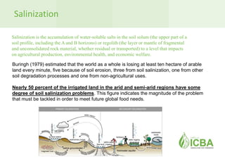 Item 6: International Center for Biosaline Agriculture | PPTX