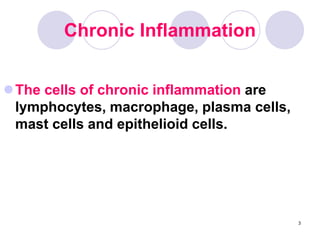 chronic inflammation | PPTX