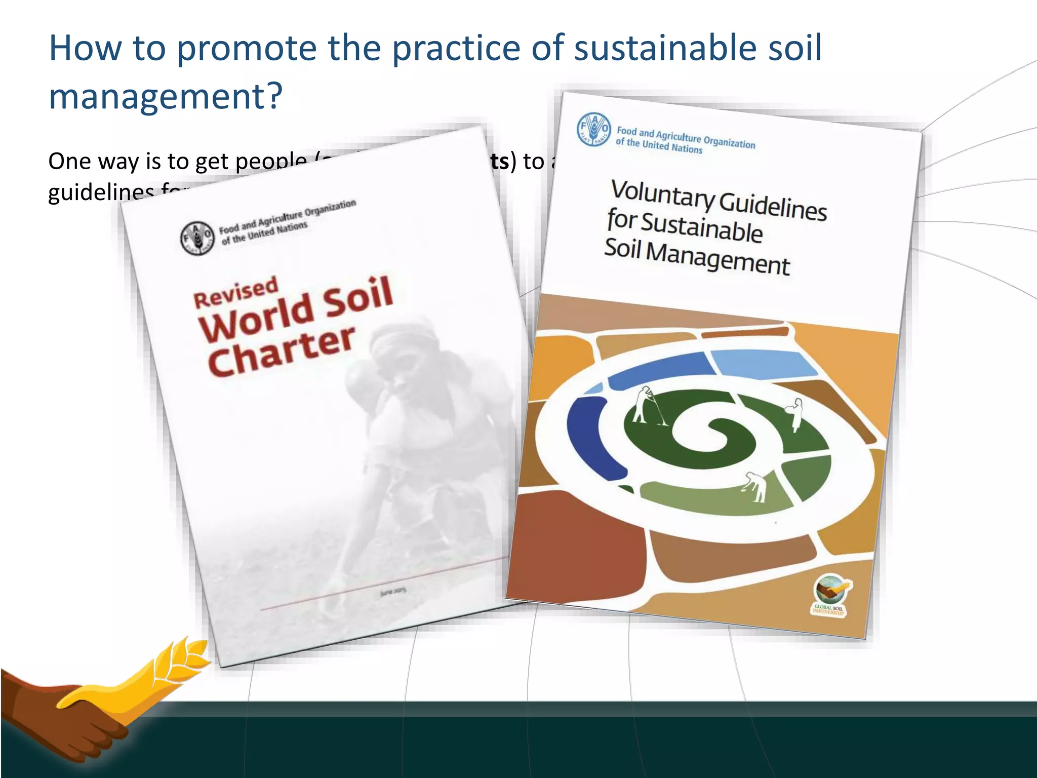 The Voluntary Guidelines for Sustainable Soil Management | PPTX