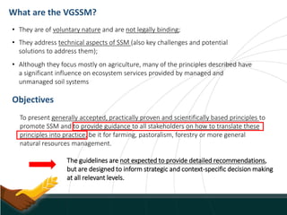 The Voluntary Guidelines for Sustainable Soil Management | PPTX