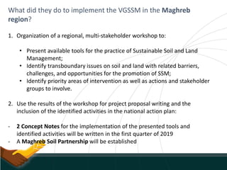 The Voluntary Guidelines for Sustainable Soil Management | PPTX