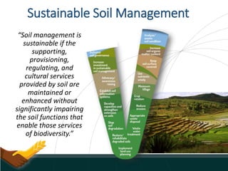 The Voluntary Guidelines for Sustainable Soil Management | PPTX