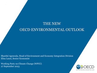Item 8. The new OECD Environmental Outlook.pdf